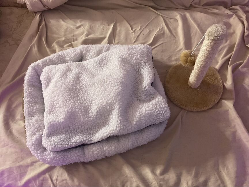 Небольшая лежанка и когтеточка