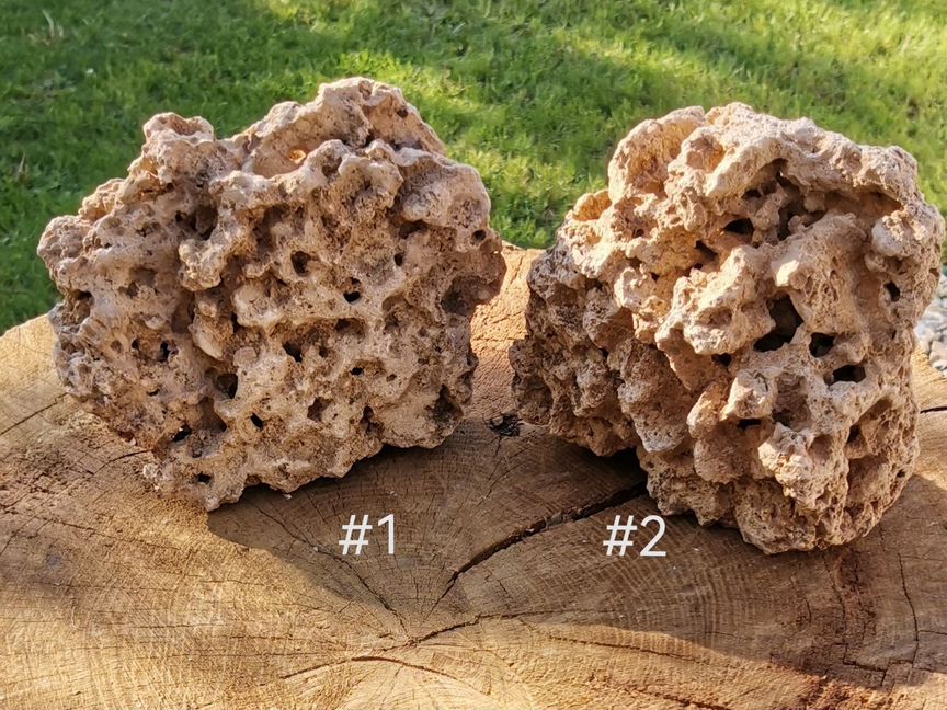 Обстановка и оборудование для аквариума