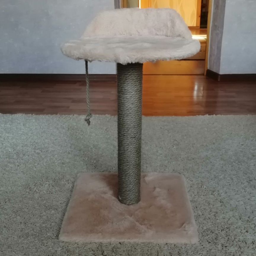 Когтеточка