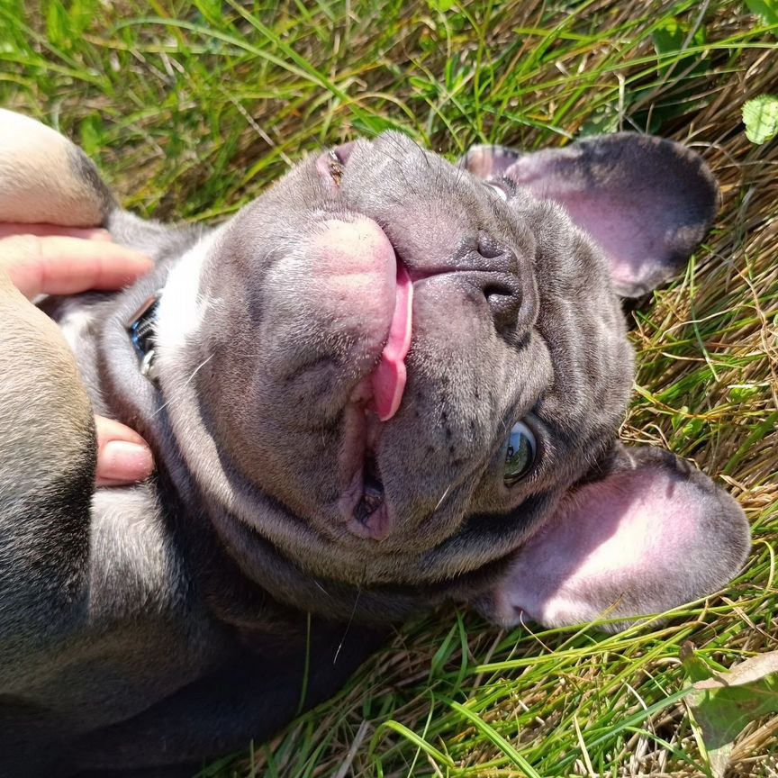 Мальчишка 5 месяцев