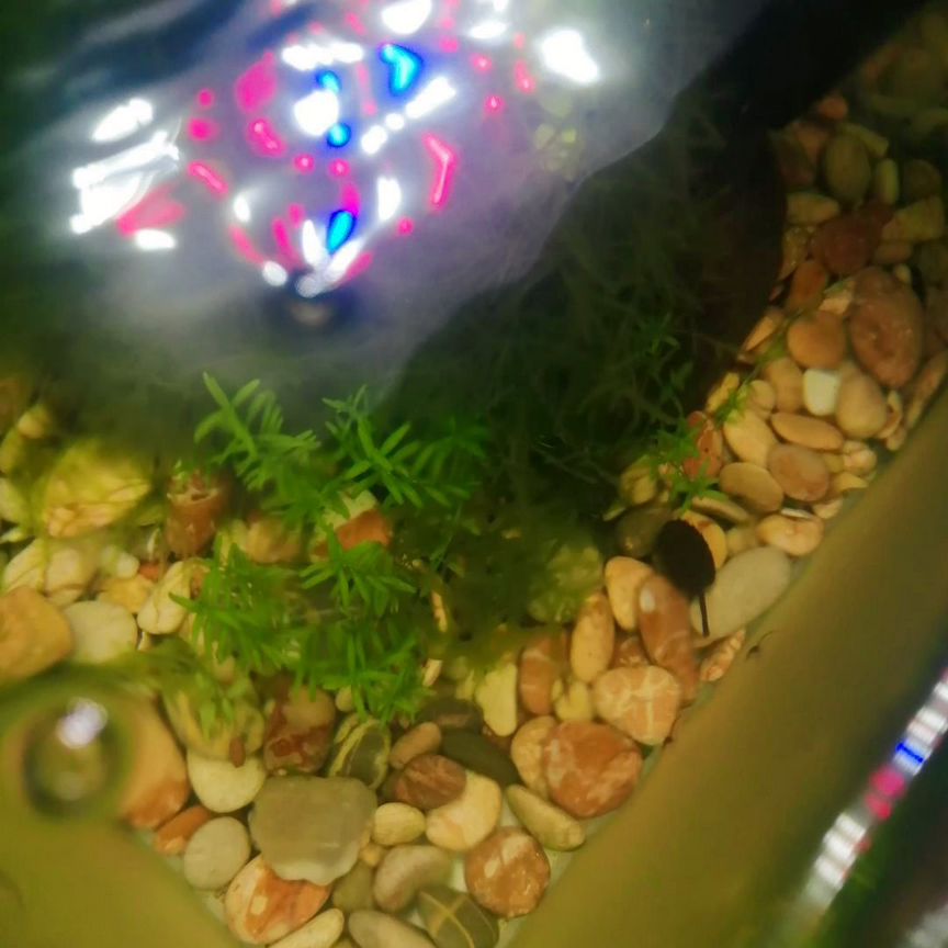 Аквариум 18 литров aquael