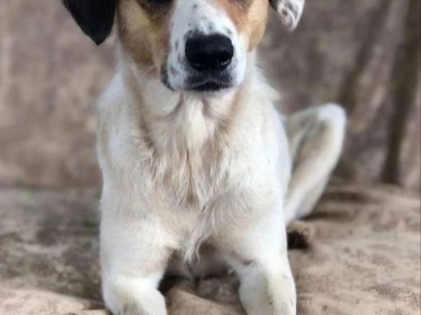 Девчонка из Белгорода в добрые руки