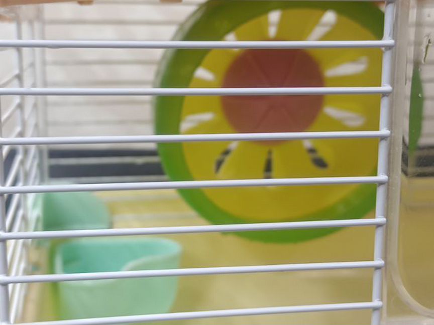 Клетка для хомяков, джунгариков