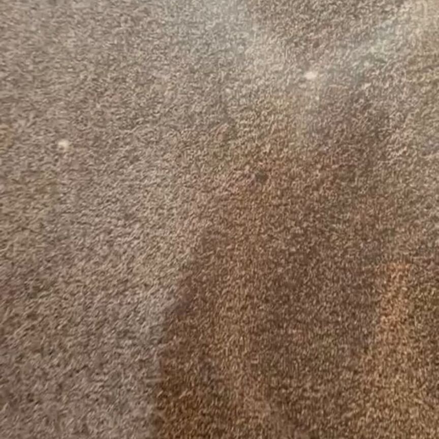 Ячмень фуражный