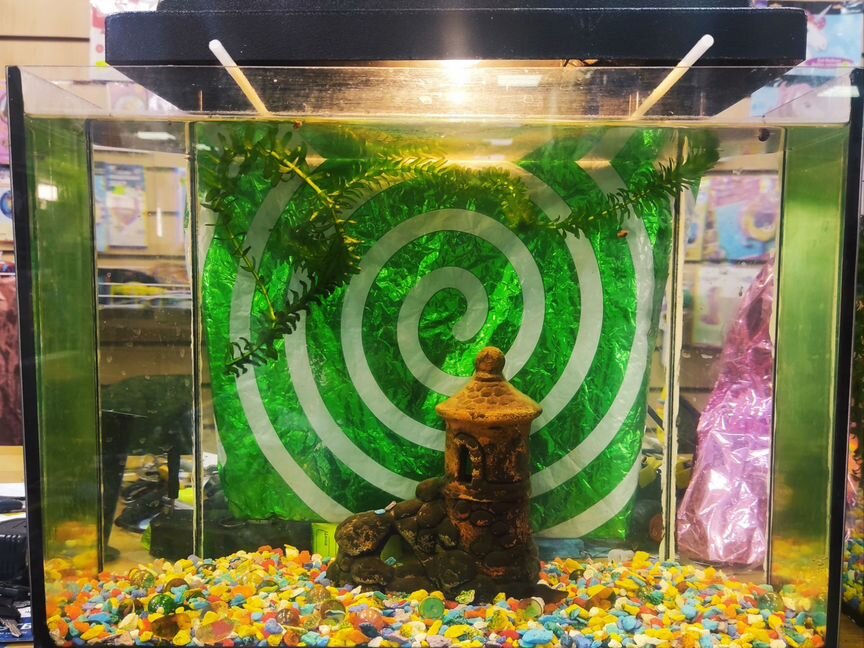 Аквариум на 30 литров