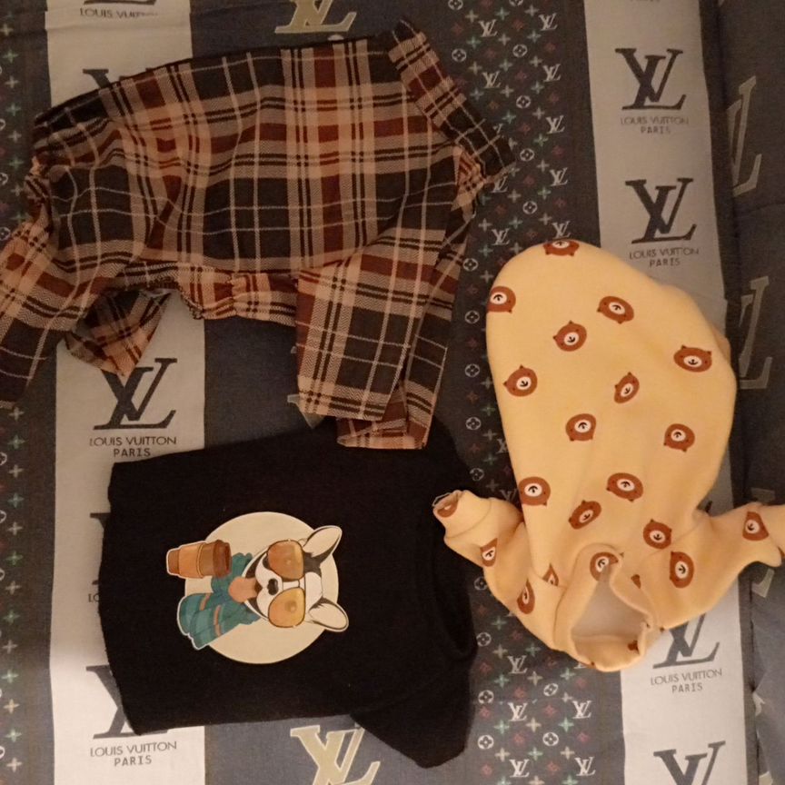 Продам вещи для маленькой собачки, кошки