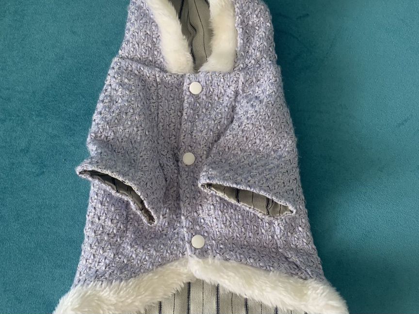 Пальто осеннее для собаки, девочки