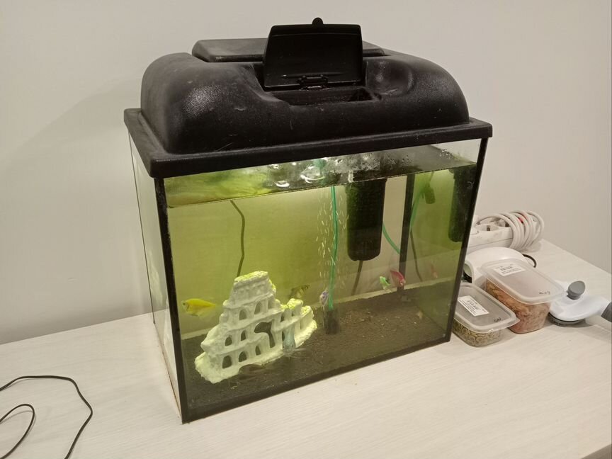 Аквариум в комплекте с оборудованием (40л)