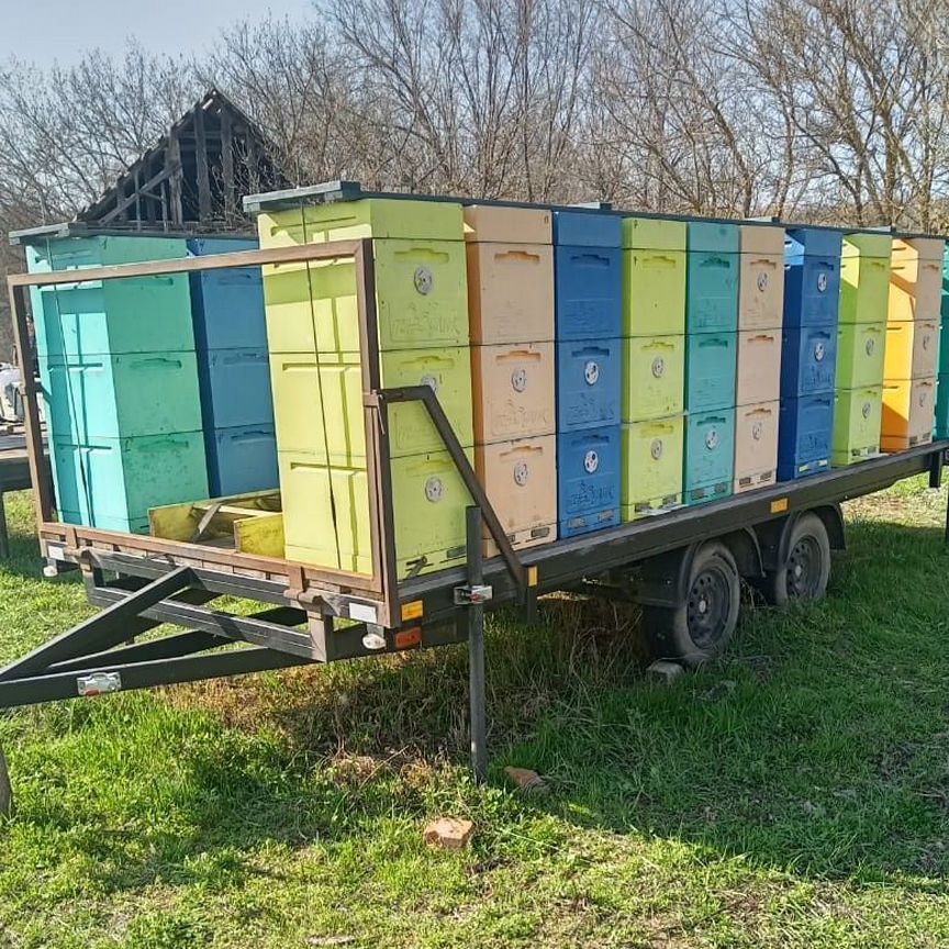 Продам ульи ппс