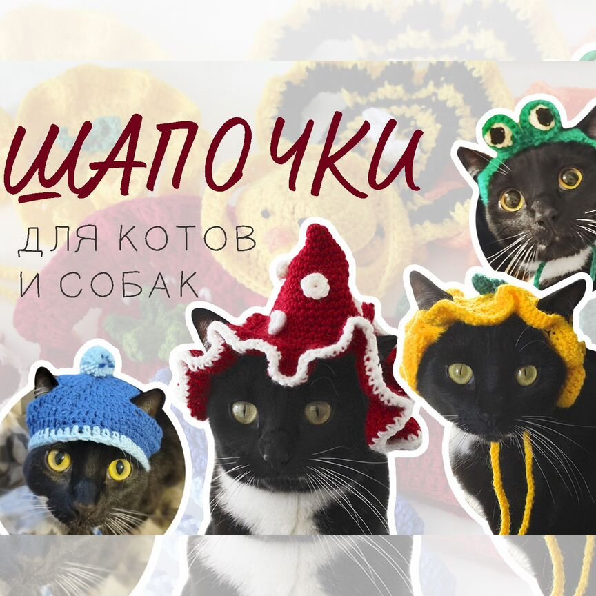 Шапки для котов и собак