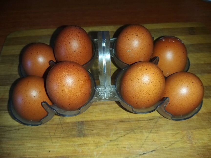 Инкубационное яйцо марана