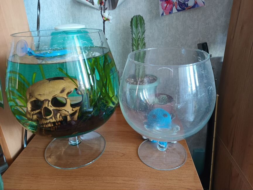 Круглые аквариумы