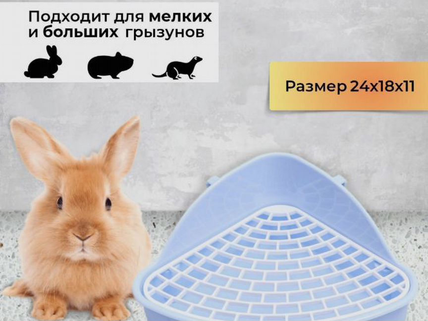 Лоток для грызунов