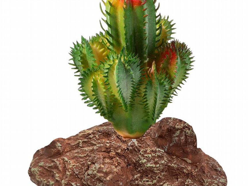 Растение Эриокактус, 95*60*90мм