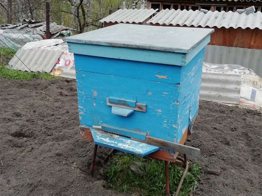 Ульи дадан 12 рамочные 10ш