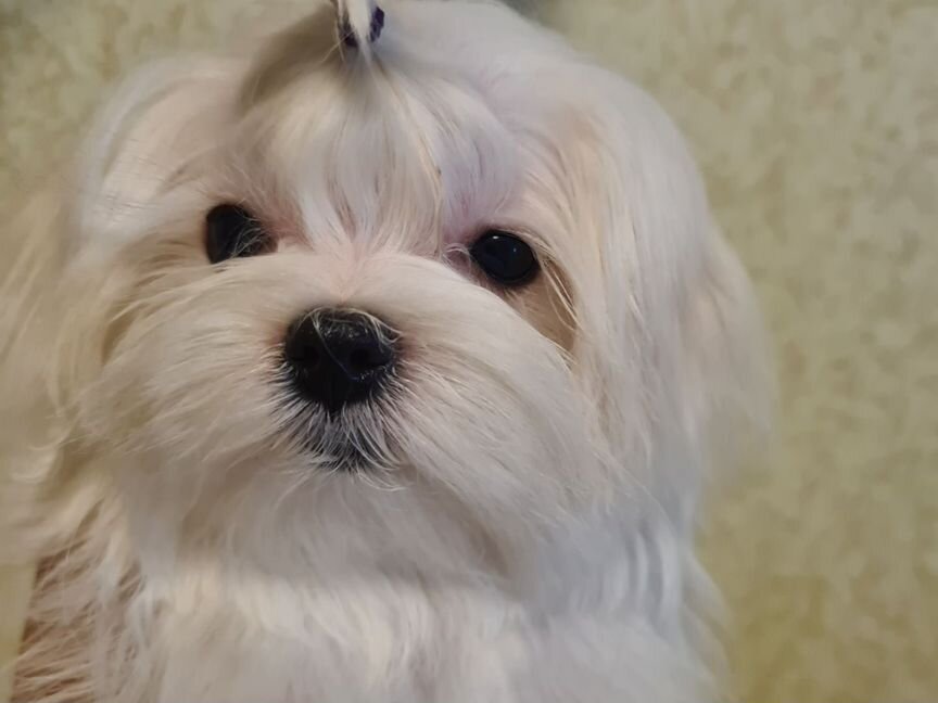 Мини малышка