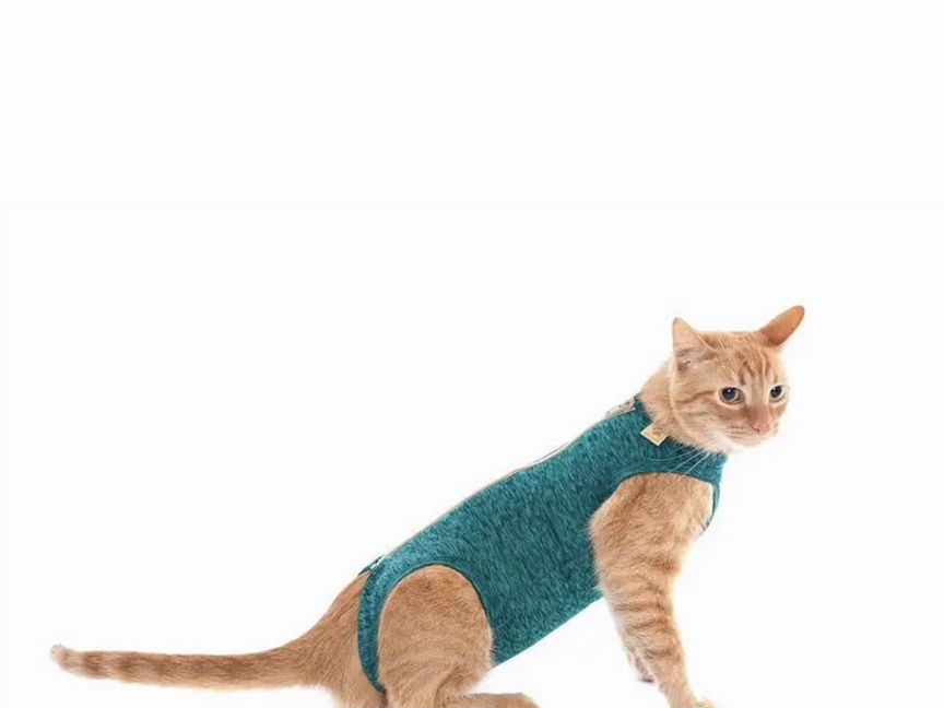 Попона для кошек новая послеоперационная