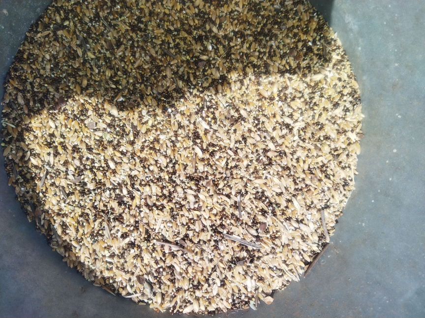 Корма для животных