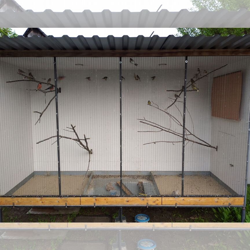 Вольер для птиц