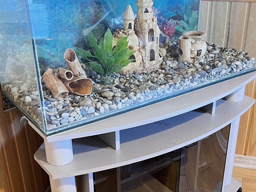 Террариум аквариум 200 литров