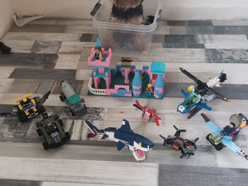 Продам мини йорка