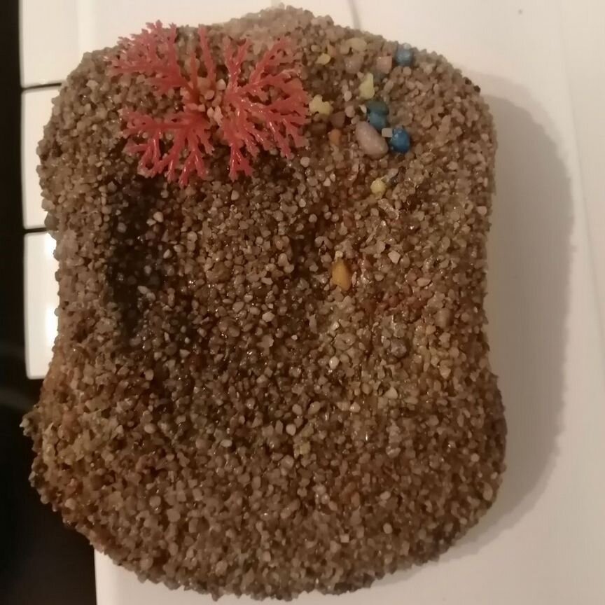 Островок для черепахи