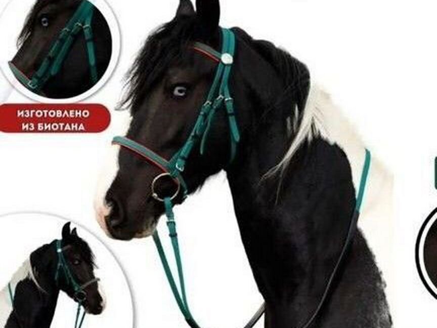 Уздечка для лошади cob