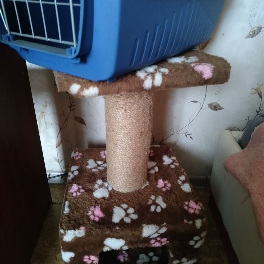 Переноска для кошек пластиковая