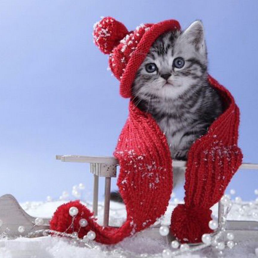 Шотландские новогодние плюшечки