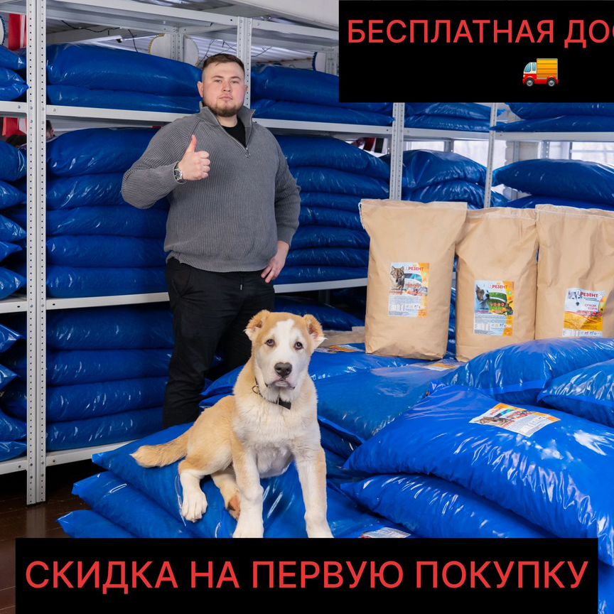 Сухой корм для собак