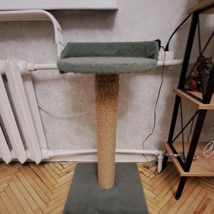 Когтеточка