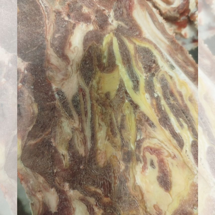 Мясо говядина для собак