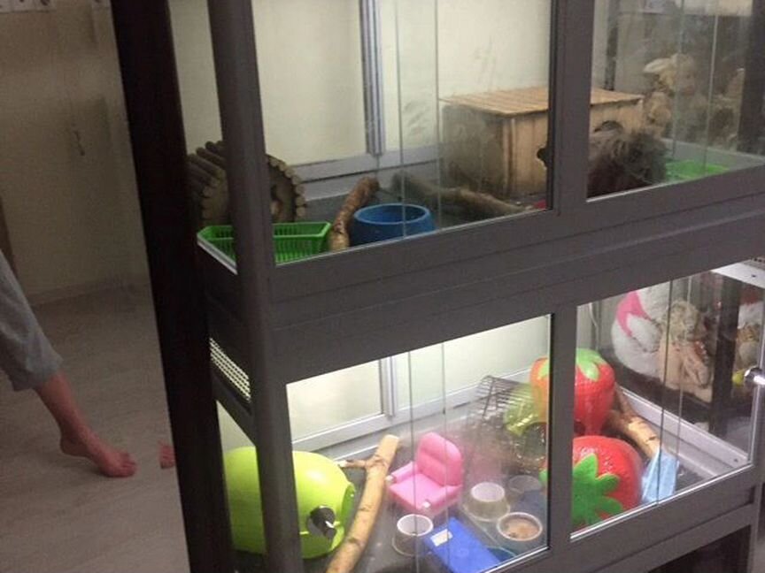 Витрина для грызунов и птиц