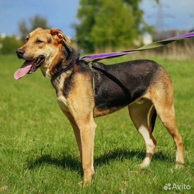 Дастин родился и вырос в приюте