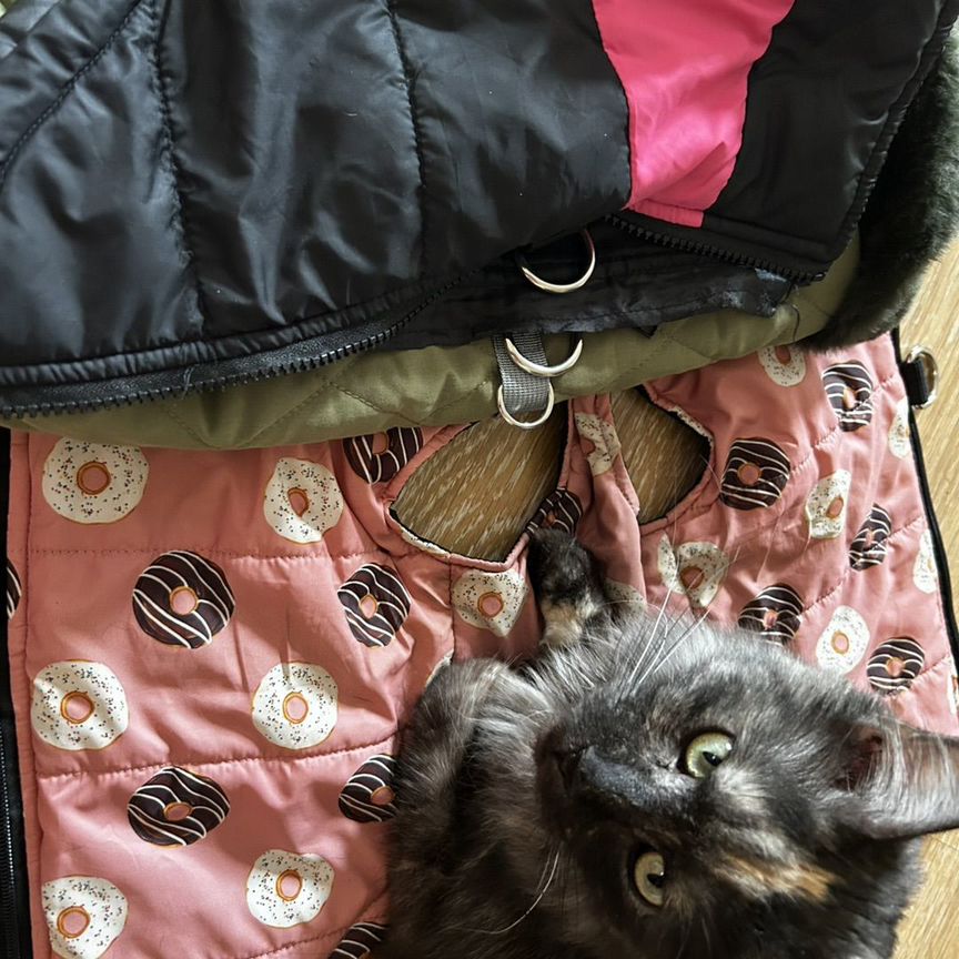 Одежда для Яры