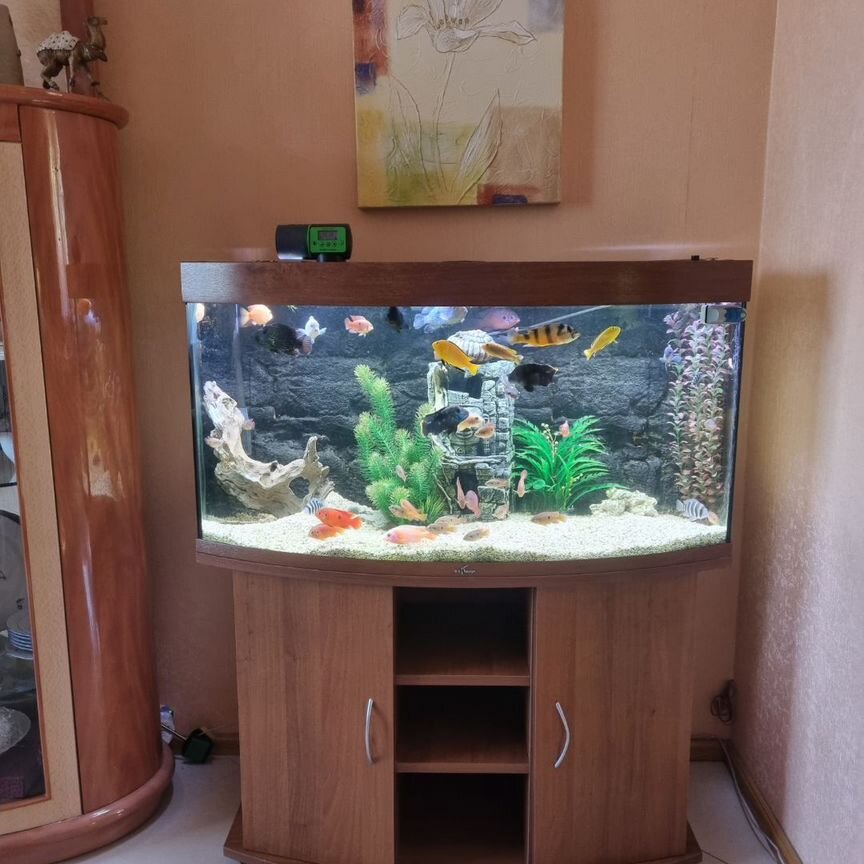 Аквариум 330 литров