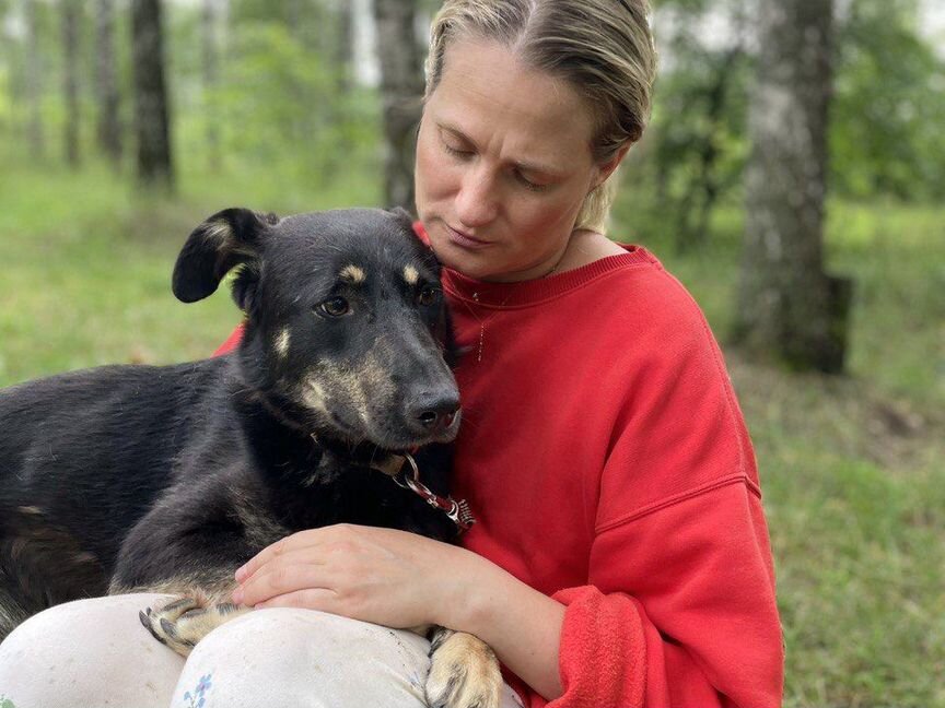 Собака из приюта мечтает о доме