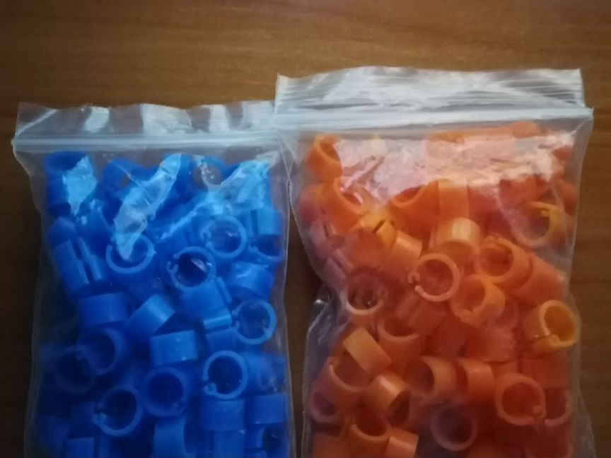 Кольца маркера для голубей