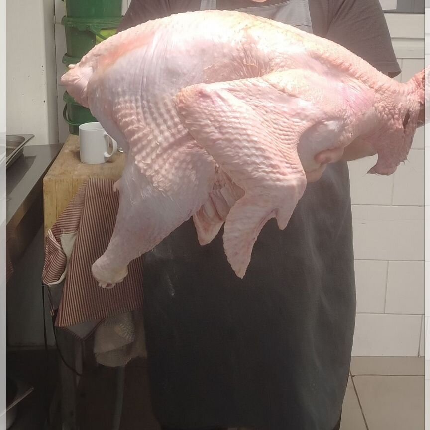 Мясо индюка