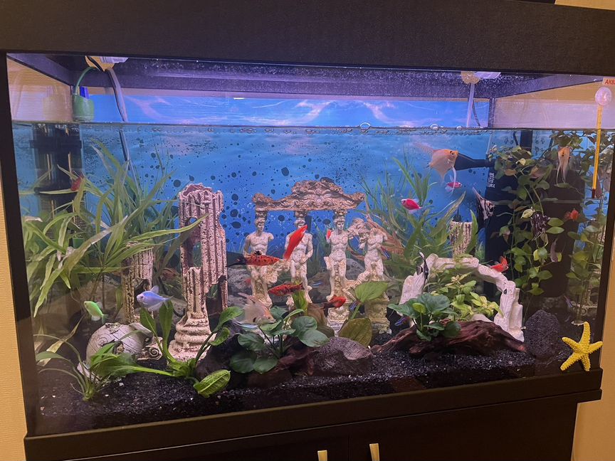 Колонны, атланты, амфора в аквариум для декора