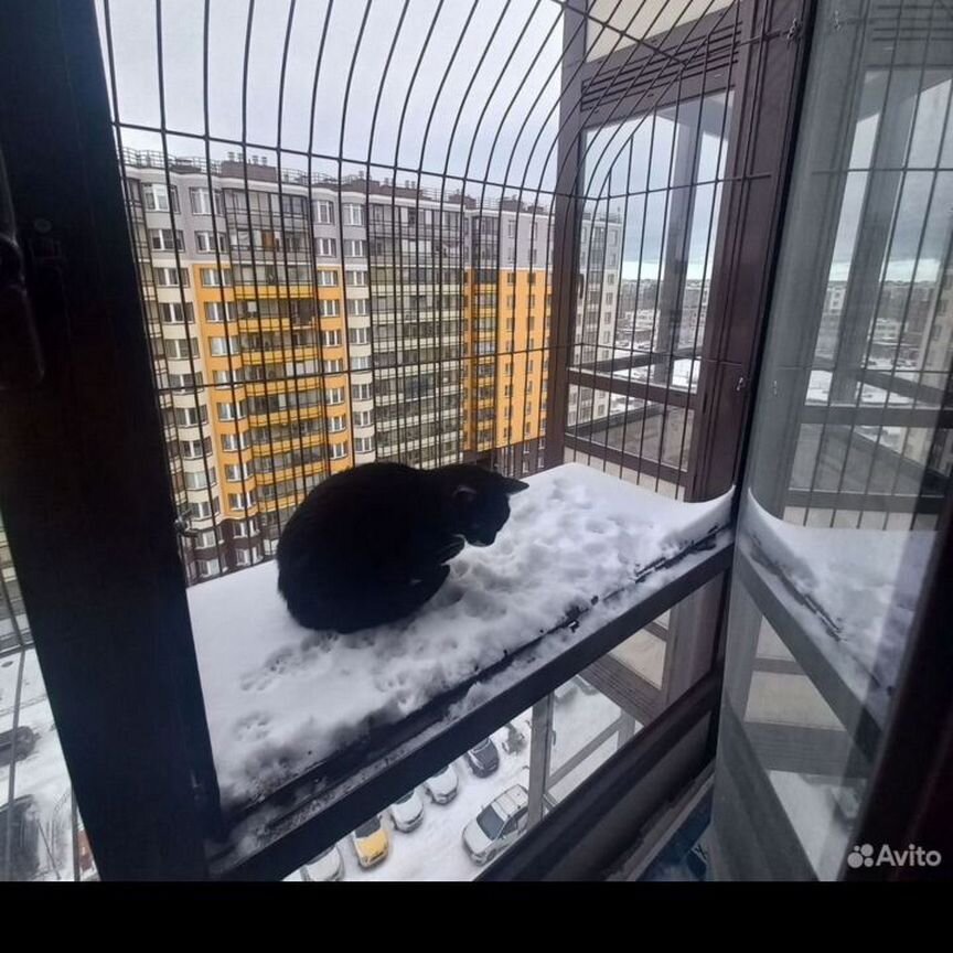 Балкон для кошки