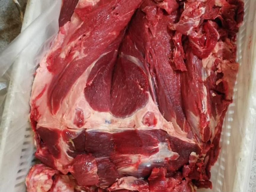 Мясо для собак