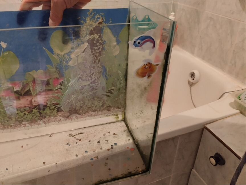 Аквариум 70*19 высота 34см