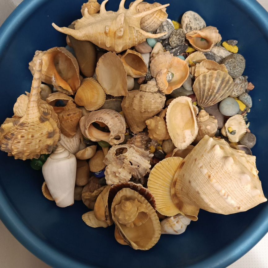 Аквариумные камни и улитки