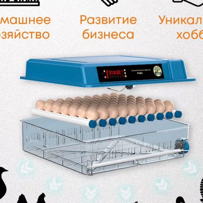 Инкубатор Ряба 64