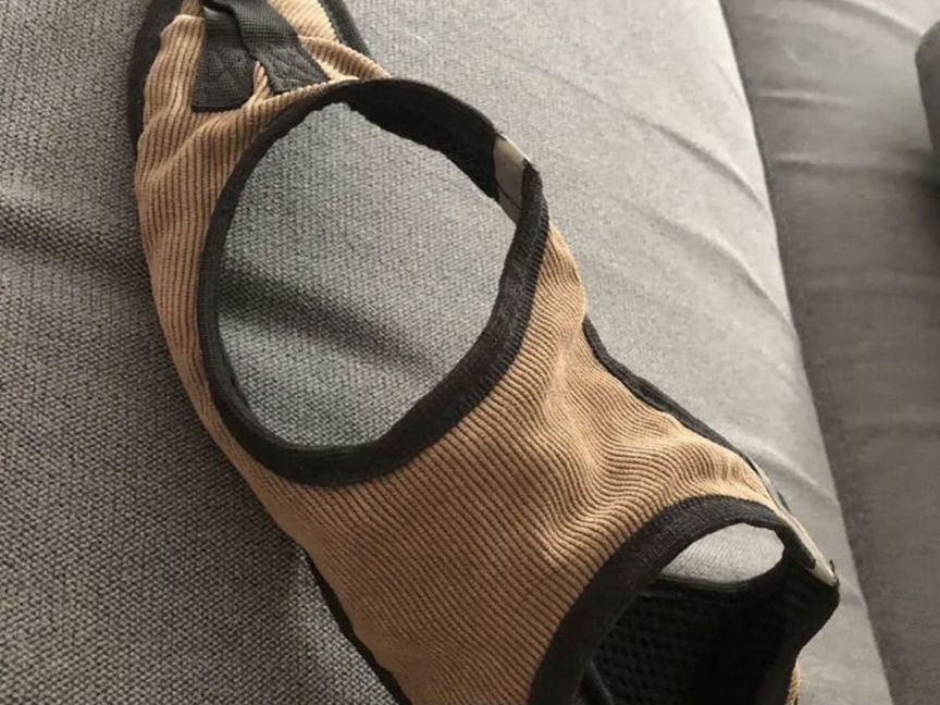 Шлейка для маленькой собаки