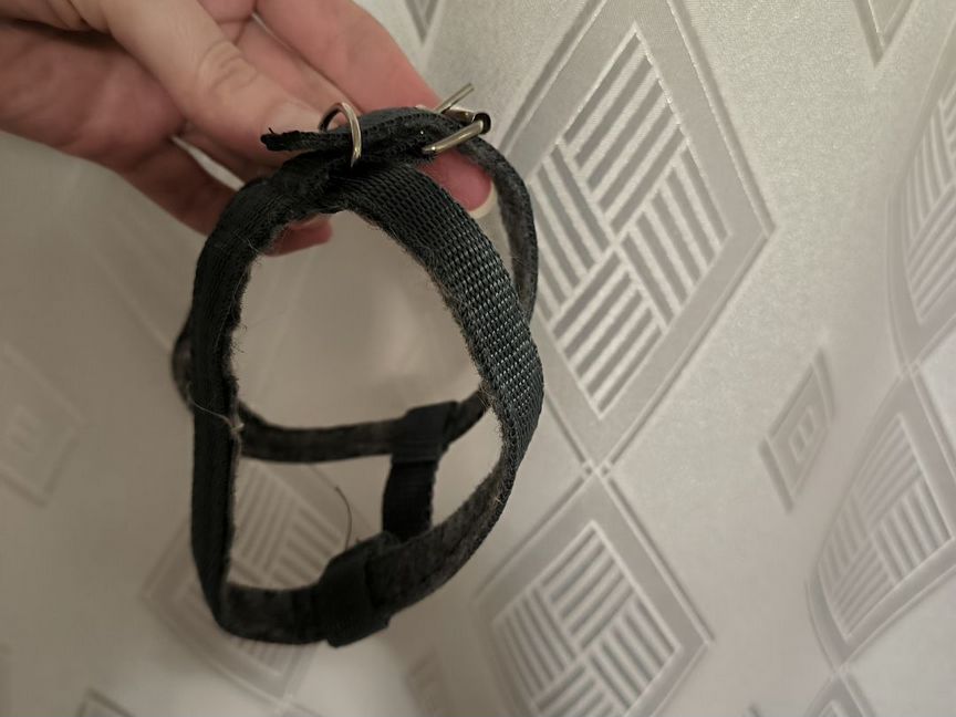 Шлейка для собаки