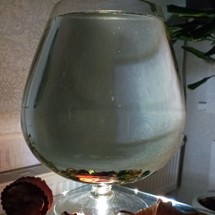 Аквариум бокал 5 литров