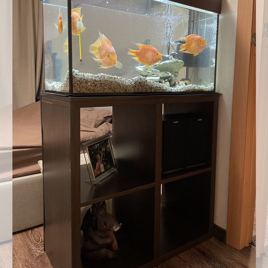 Аквариум на 100 литров