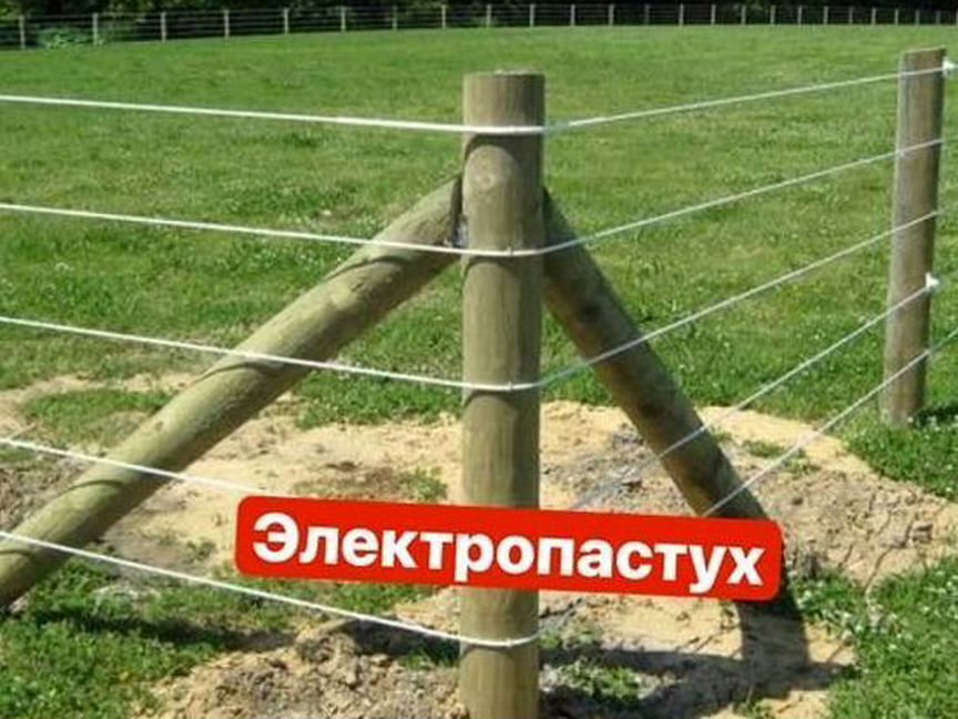 Электроизгородь. Защита пасеки